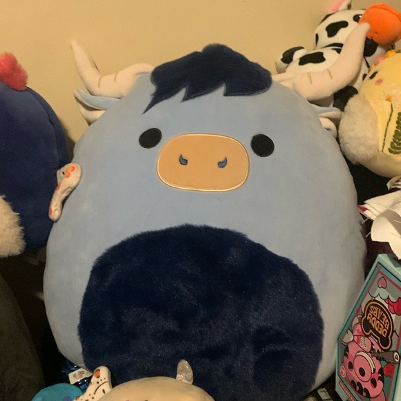 Squishmallows | Toys | Toro The Highland Cow Squishmallow Nwt | Poshmark